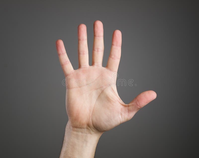 Five fingers stock image. Image of open, stop, closeup - 23743445