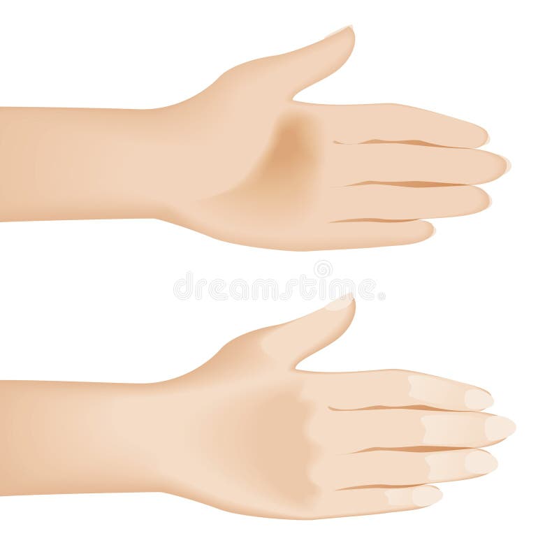 Twee open handen op beeld vector illustratie. Illustration of artistiek ...