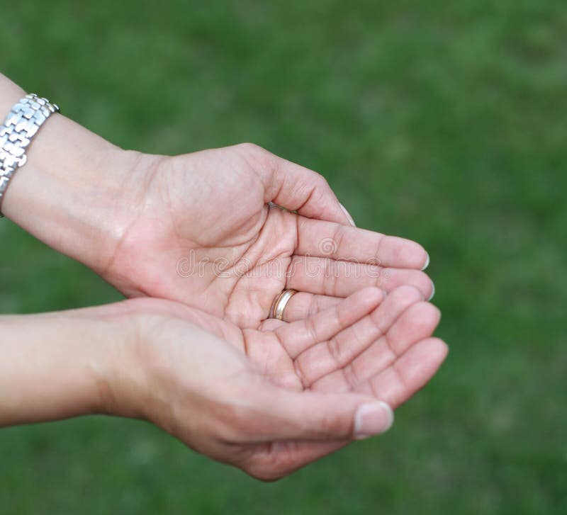Open hands stock image. Image of depth, green, open, hope - 2477095
