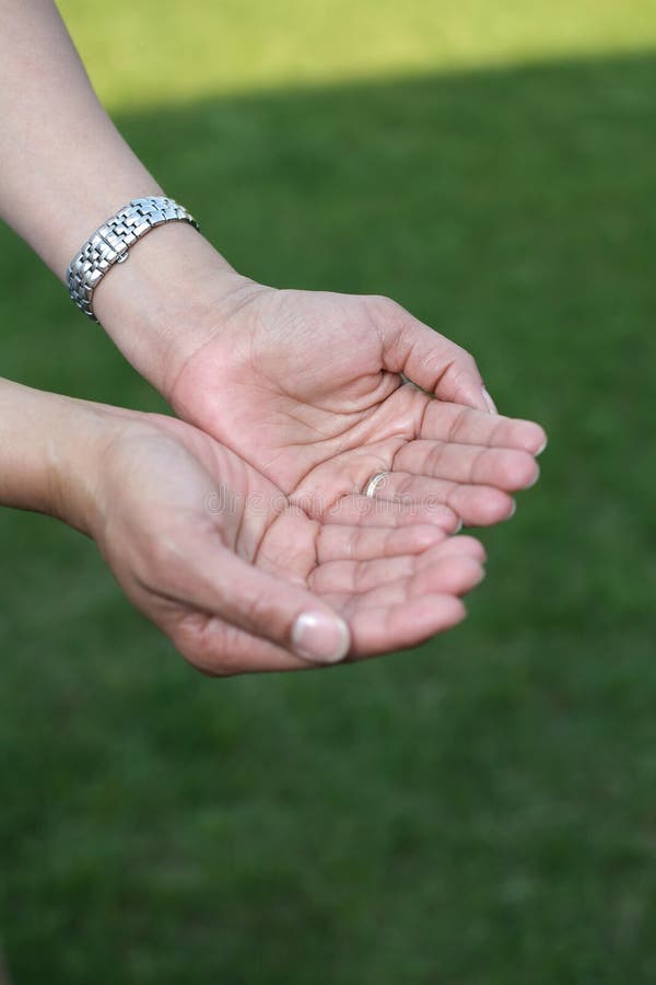 Open hands stock photo. Image of begging, cradling, collect - 1796684