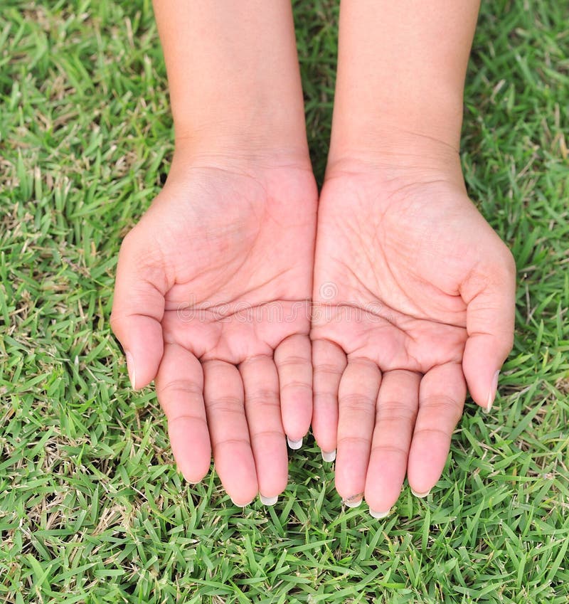 The Open Hands on the Grass Stock Image - Image of human, objects: 20806985