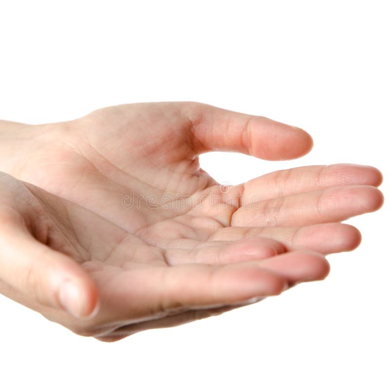Open hands stock image. Image of begging, female, together - 5534953