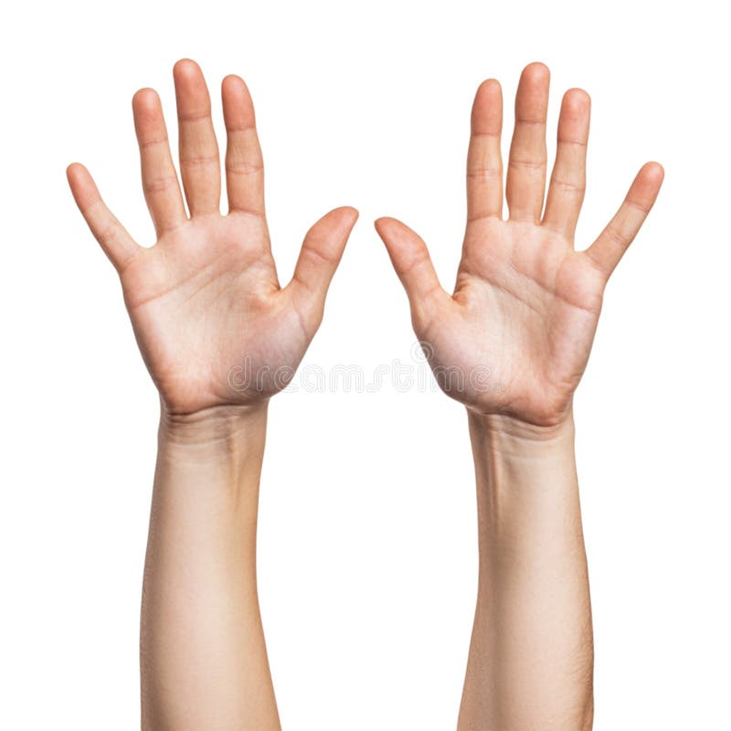 Open Hands Raised Arms HighResolution Image on Transparent Background ...