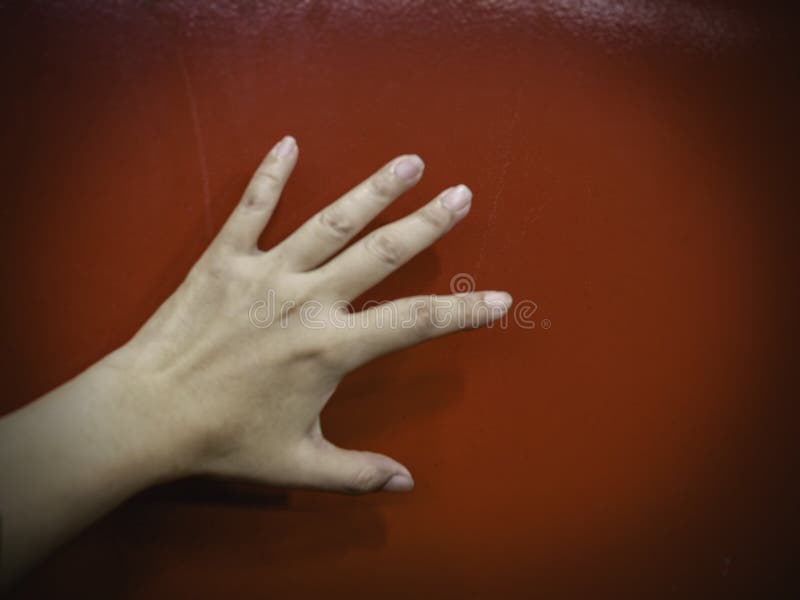 542 Open Hand Show Back Stock Photos - Free & Royalty-Free Stock Photos ...