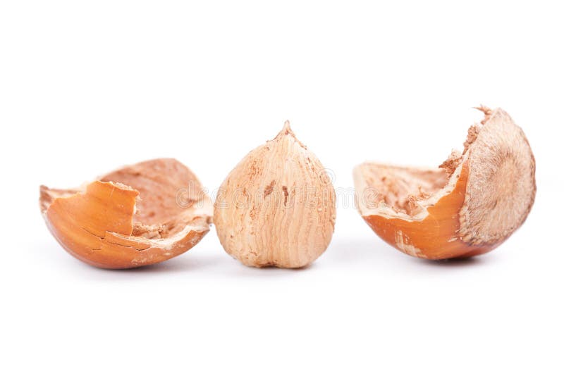 2,825 Open Hazel Nut Stock Photos - Free & Royalty-Free Stock Photos ...