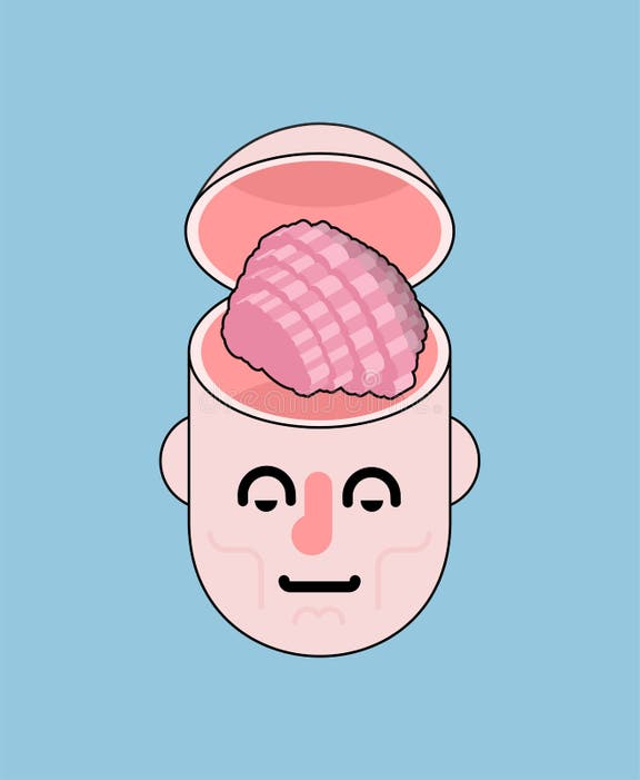 Open Head and Brain Isolated. Vector Illustration Stock Vector ...