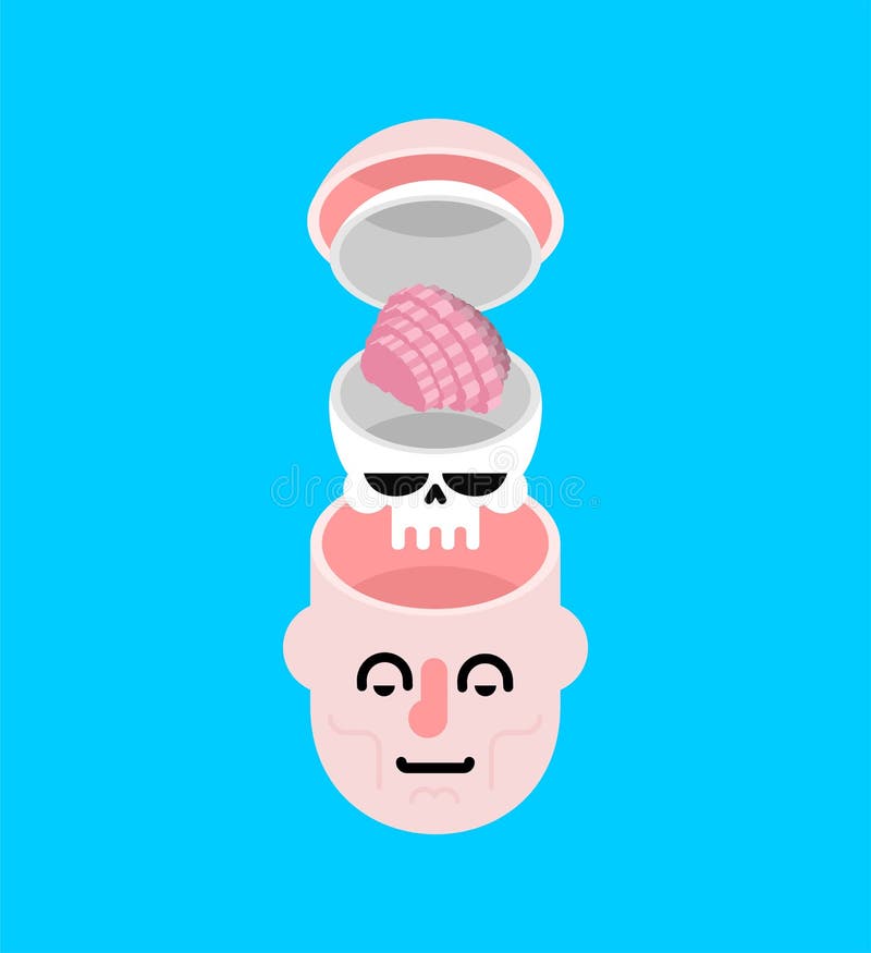 Open Head and Brain. Structure of Head. Face, Skeleton and Mind Stock ...