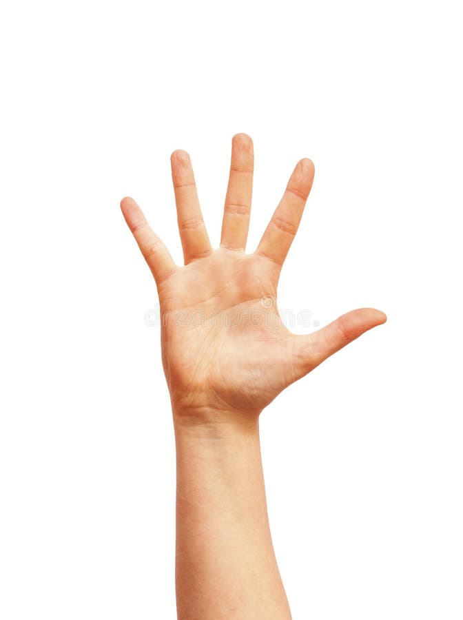 Open hand stock photo. Image of give, symbol, voting - 26546482