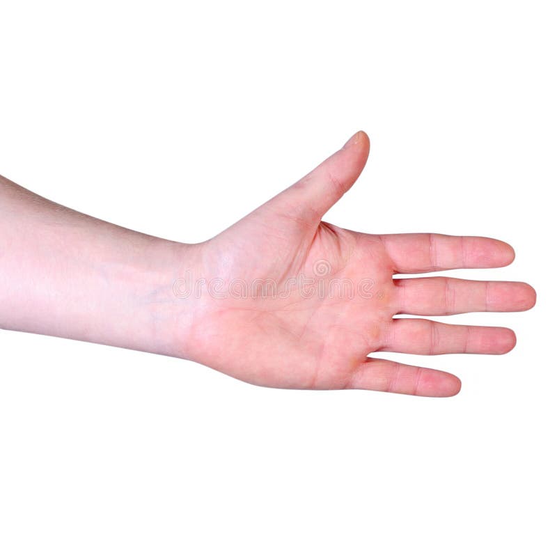 Open Human Hand Isolated on White Background Stock Photo - Image of ...