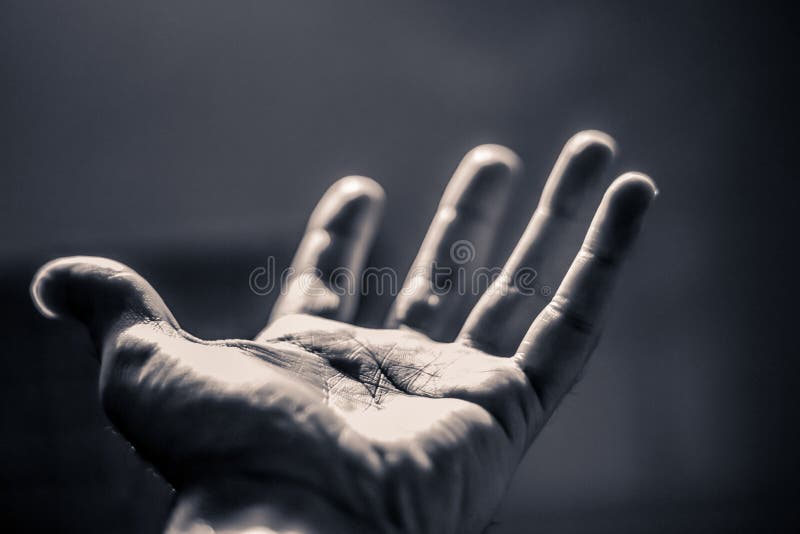 Open human hand stock photo. Image of hand, body, fingers - 83105768