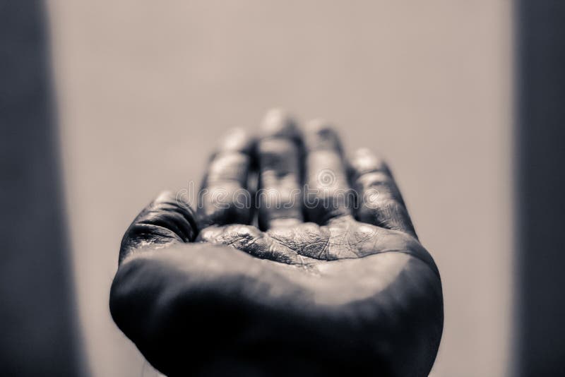 Open human hand stock photo. Image of human, body, hand - 83106704