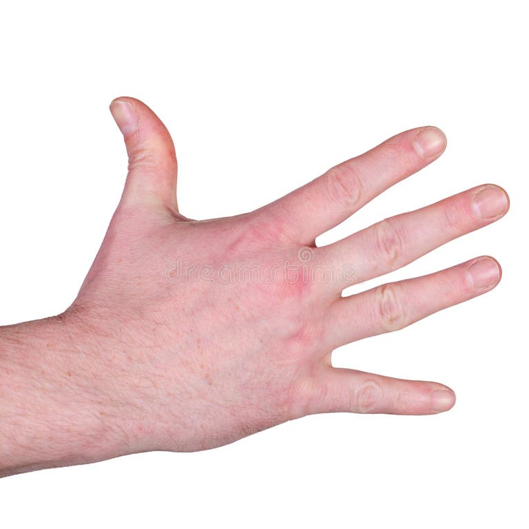 Open Human Hand Showing Five Fingers Stock Photo - Image of reaching ...