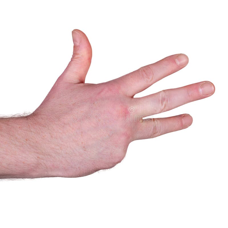 Open Human Hand Showing Five Fingers Stock Image - Image of isolated ...