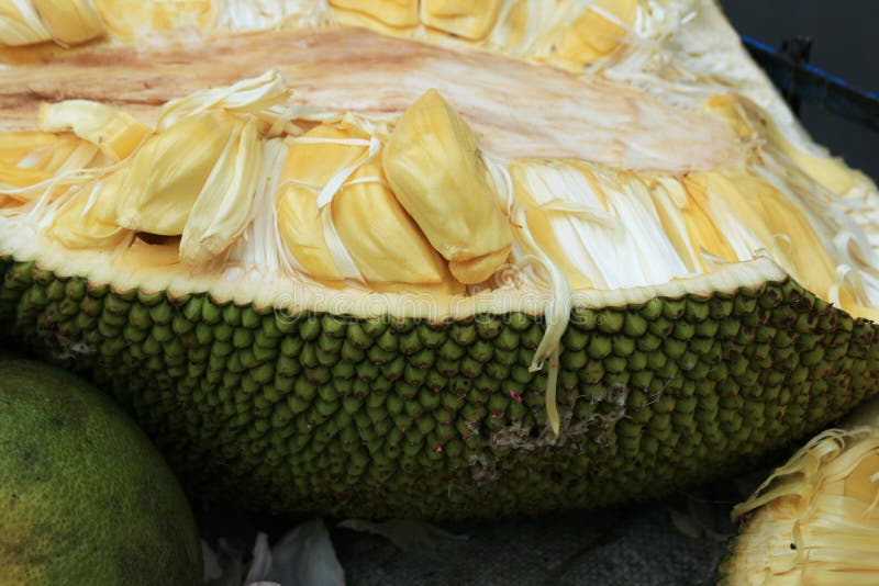 Open jackfruit stock image. Image of jackfruit, market - 13503857