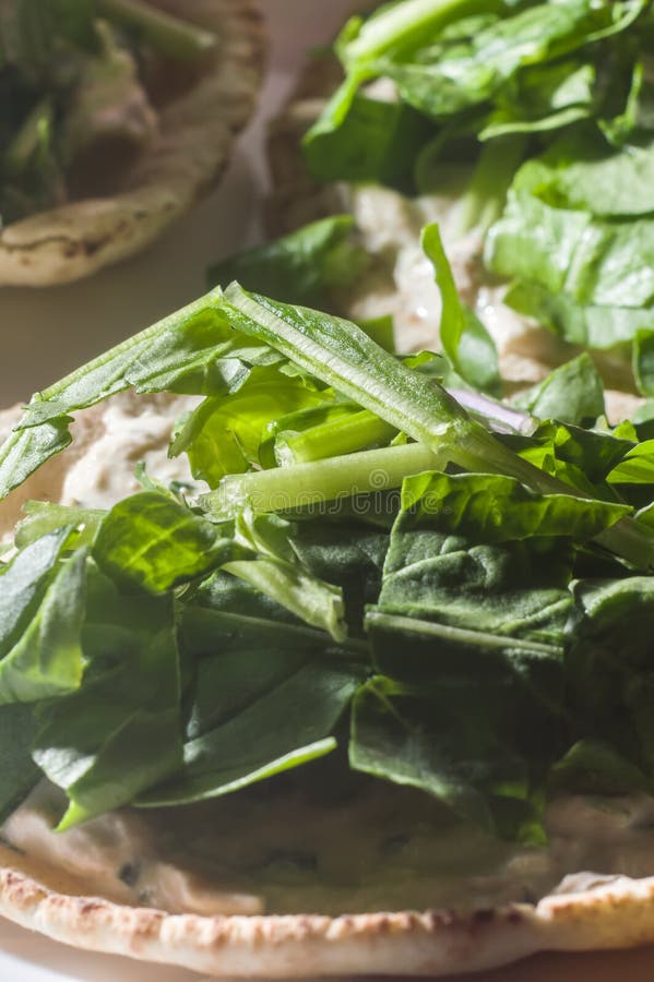 Open Kebab with Green Leaves on a White Plate and Copy Space Stock ...