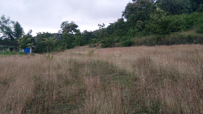 Open Land For Agriculture Purpose In Nandgaon Stock Photo - Image of ...