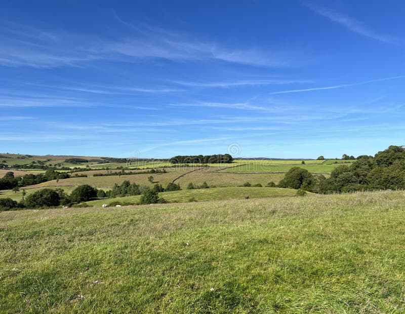 Old Trees, and a Rolling Landscape Near, Grindleton, Lancashire, UK ...