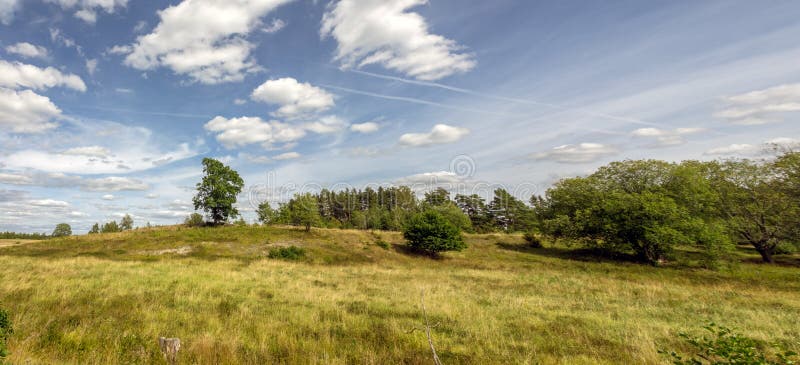 Open Landscape with Some Trees Stock Photo - Image of land, country ...