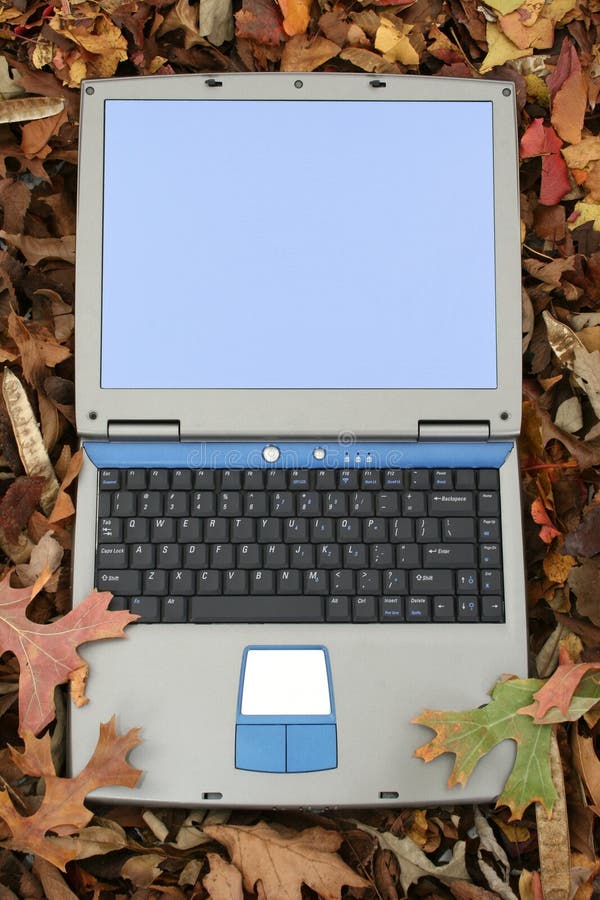 Open Laptop in Leaves stock image. Image of open, display - 849001
