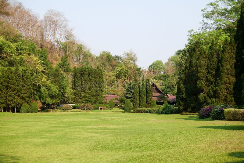 Open Lawn with Cabins stock image. Image of summer, leaves - 90544833