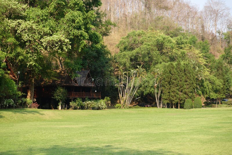 Open Lawn with Cabins stock image. Image of summer, leaves - 90544833