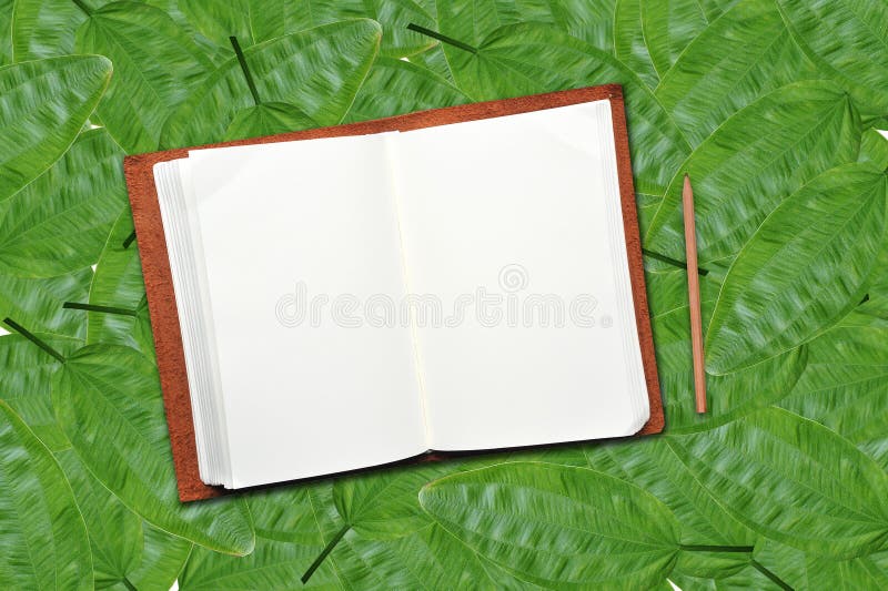 Open Leather Book on Leaves Background Stock Image - Image of antique ...