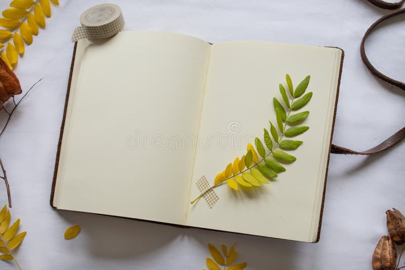 Open Leather Bound Notebook with Leaf Stock Photo - Image of empty ...