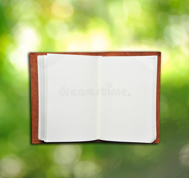 Open Leather Book on Leaves Background Stock Image - Image of antique ...