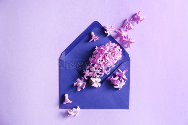 700 Open Envelope Flowers Photos - Free & Royalty-Free Stock Photos ...