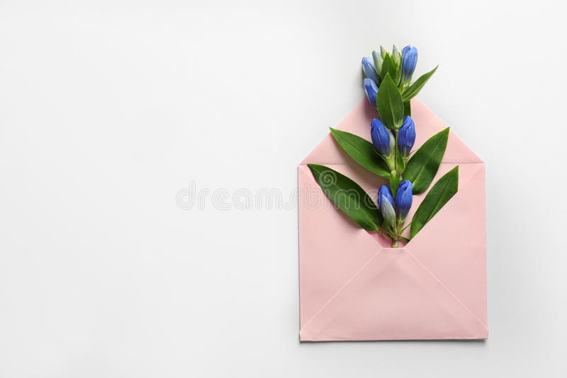 Open Mail Envelope with Flowers on White Background Stock Image - Image ...