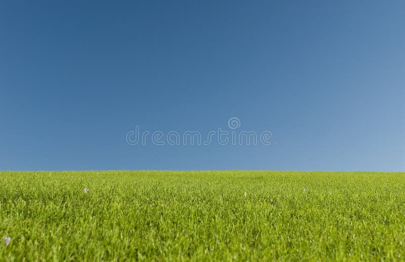 Open meadow stock image. Image of freedom, country, italy - 1211839
