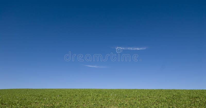 Open field stock photo. Image of sunny, summer, spring - 3664288