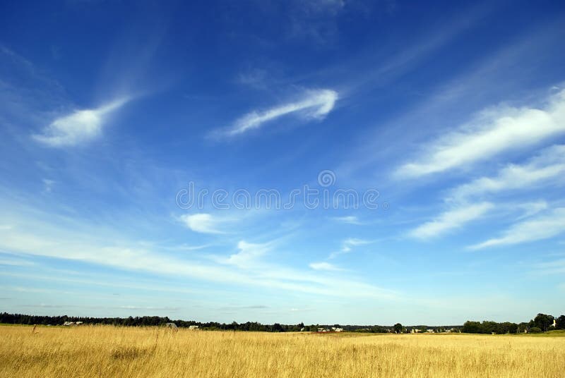 Open meadow with blue sky stock image. Image of country - 2932613