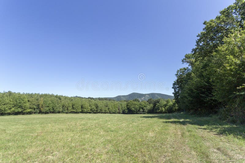 Open Meadow in the Pilis Mountains, Hungary Stock Image - Image of ...