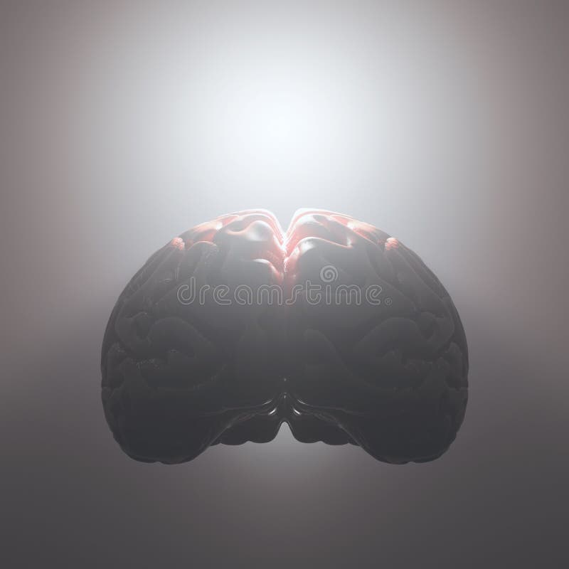 Open Mind stock illustration. Illustration of head, brainstorm - 2609092