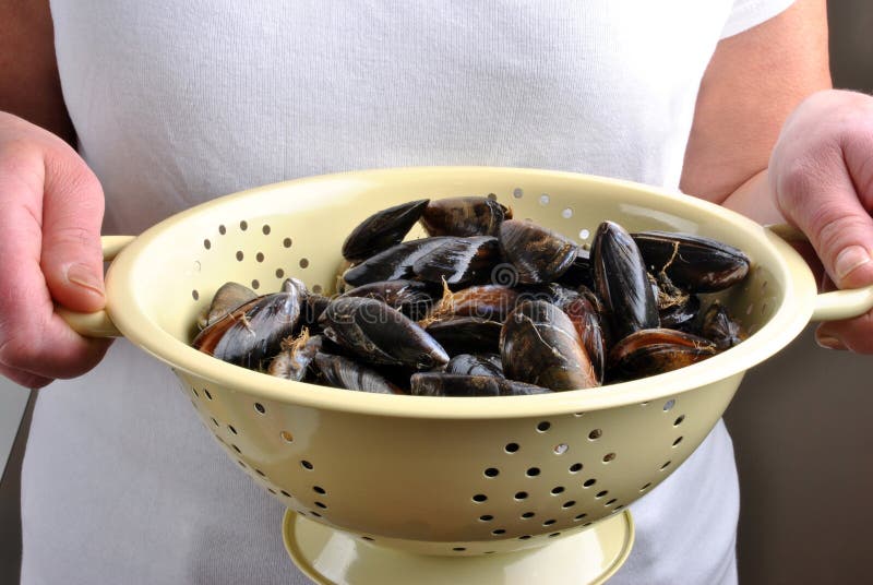 Cooked and opened mussel stock photo. Image of delicious - 13427942