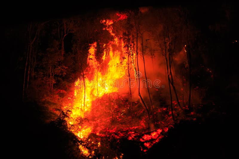 Open New Fields by Burning Forests.. Stock Image - Image of environment ...