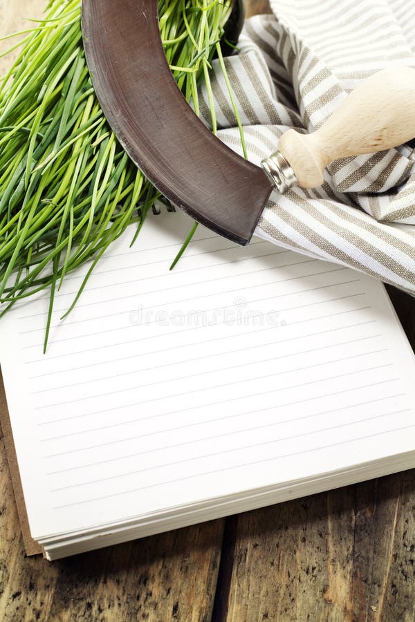 Open Notebook and Fresh Vegetables Stock Image - Image of ginger ...