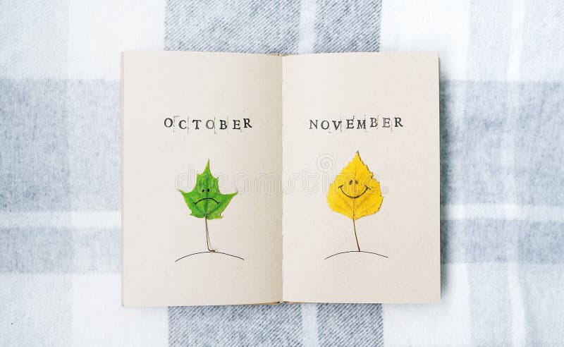Open Notebook, Autumn Smilies. Leaves of a Birch and Maple. October ...