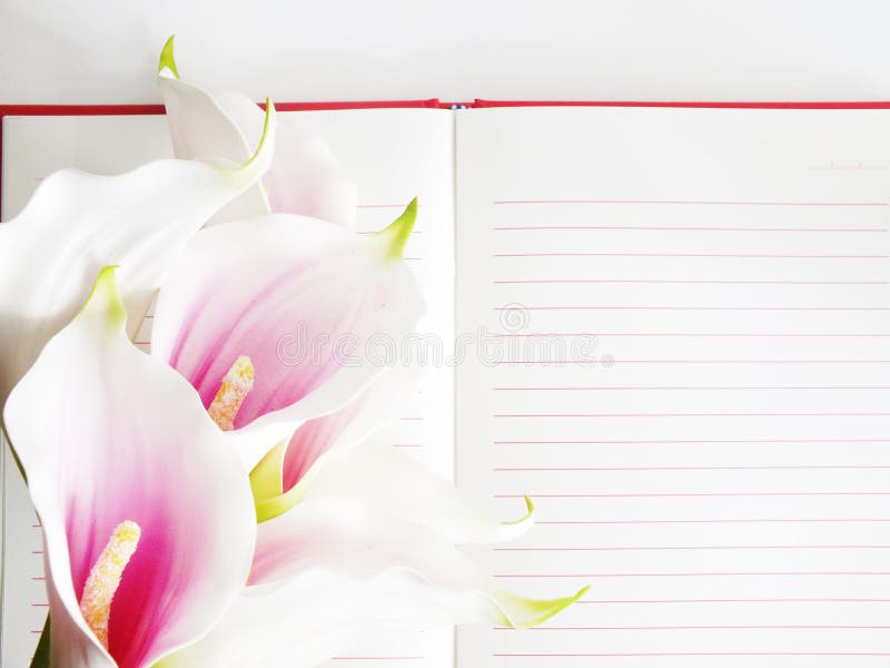Open Notebook and Beautiful Calla Artificial Pink Flower Bouquet Stock ...