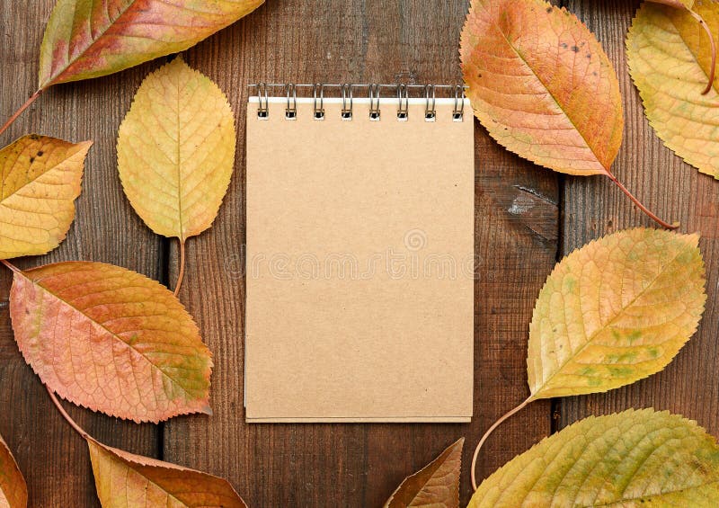 Open Notebook with Blank Brown Sheets and Yellow Cherry Leaves Stock ...