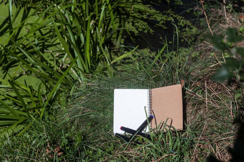 Open Notebook with Checkered Pages and Markers Lie on the Grass, in a ...