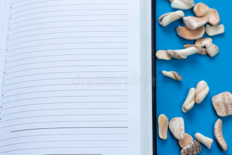 Open Notebook, Diary or Planner with Marine Fossils and Shells and ...