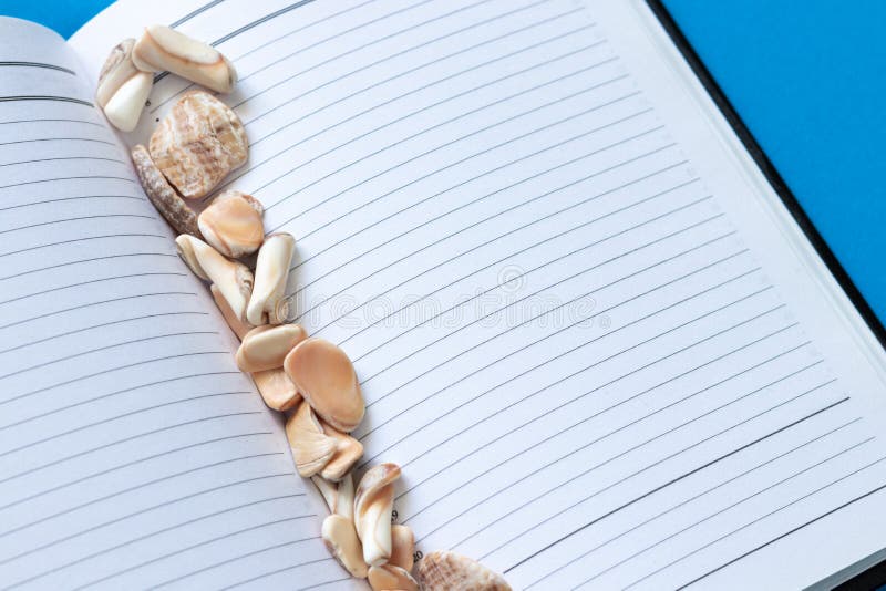 Open Notebook, Diary or Planner with Marine Fossils and Shells and ...