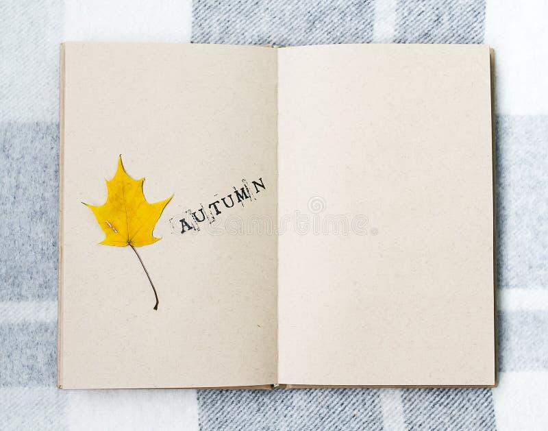Open Notebook and Maple Leaves on the Table Stock Photo - Image of ...