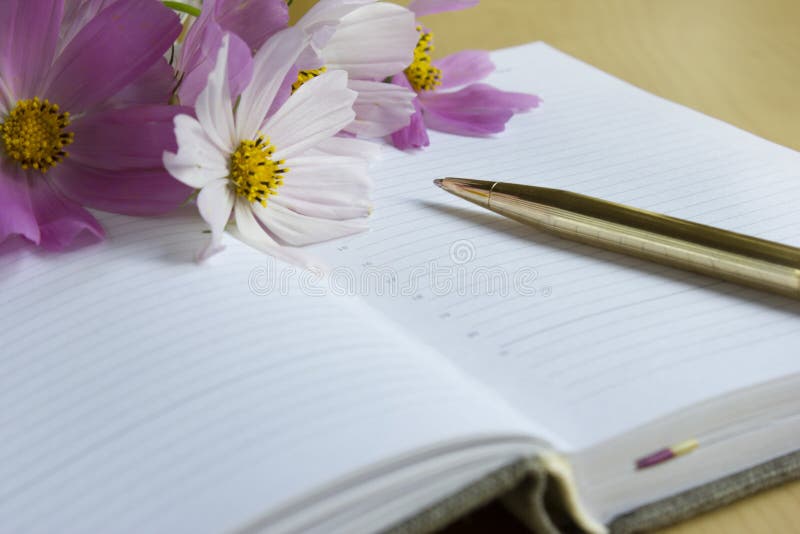 Open notebook and pen stock image. Image of blank, flowers - 57334061