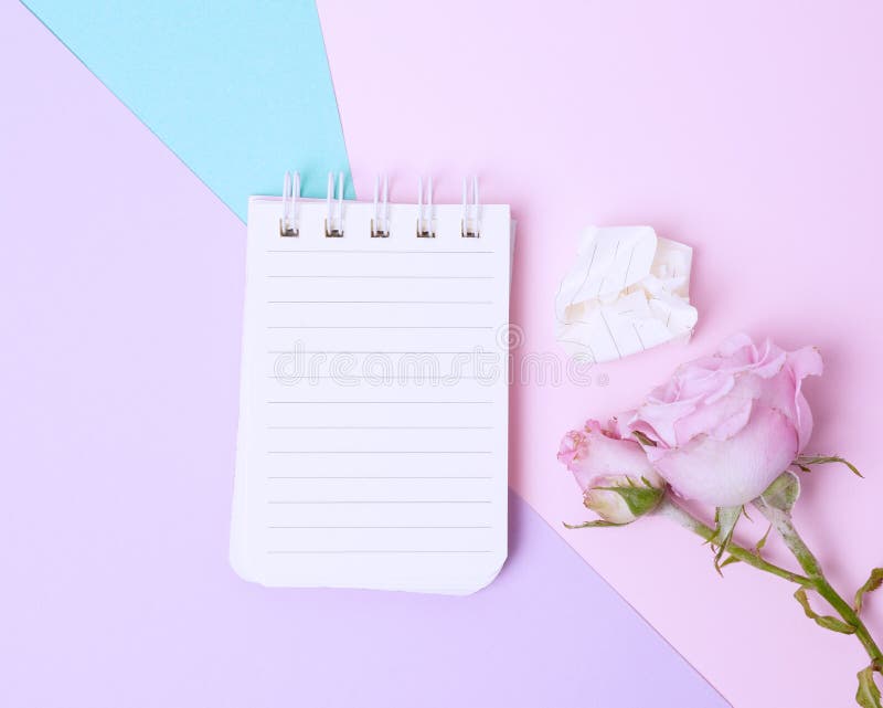 Open Notebook White Sheets Pink Rose Blue Background Stock Photos ...