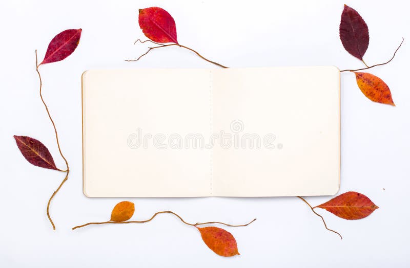 Open Notepad with Autumn Leaves on White Background Stock Photo - Image ...