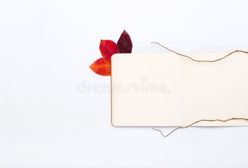 Open Notepad with Autumn Leaves on a White Background Stock Image ...