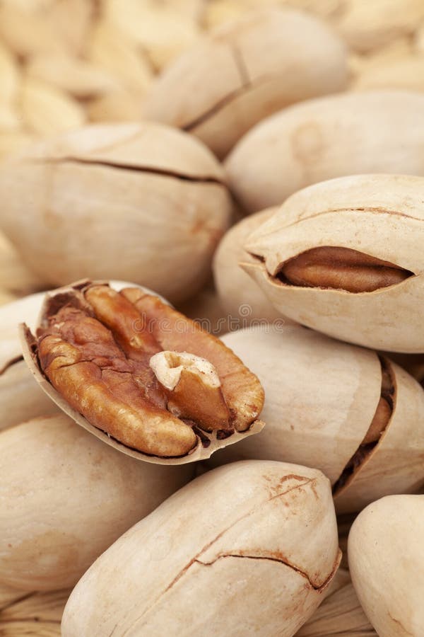 Open Nuts with Clean and Bright Background Stock Image - Image of ...